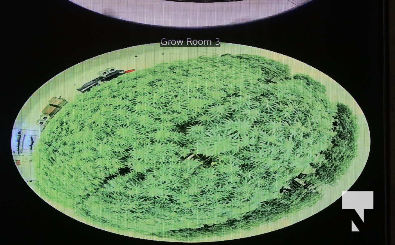 Exclusive - Today’s Northumberland Talks With FV Pharma CEO - Today's ...