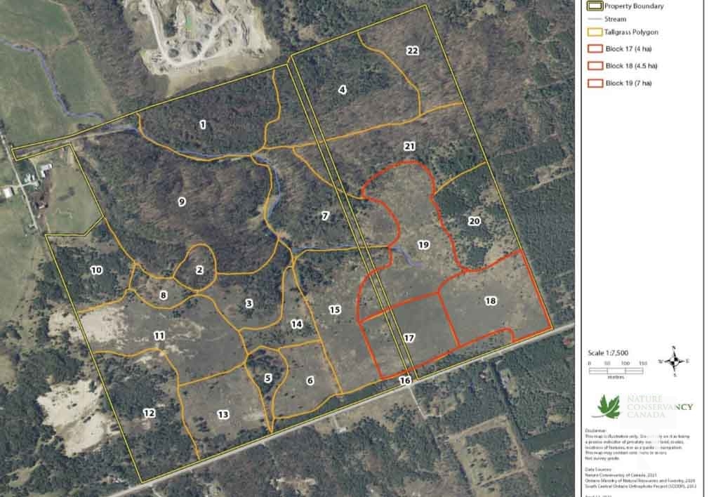 Hazel Bird Prescribed Burn April 27, 20232378 - Today's Northumberland ...