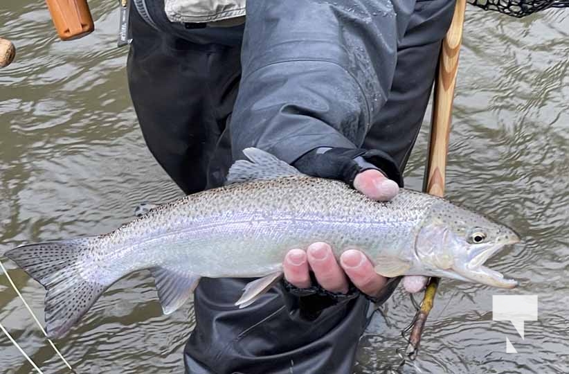 MNRF Officers Monitor Anglers Along the Ganny for Opening Day of Trout ...