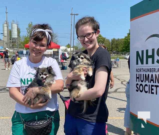Northumberland Humane Society Announces Bow Wow Fair Was a Huge Success ...