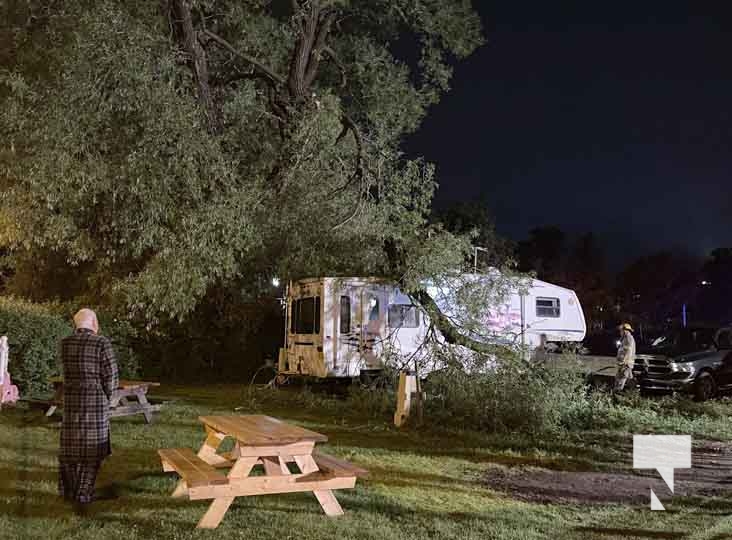Tree Limb Camper June 12, 2023334 - Today's Northumberland - Your ...