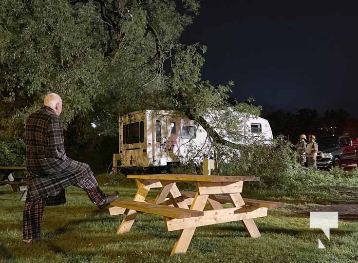 Tree Limb Camper June 12, 2023335 - Today's Northumberland - Your ...