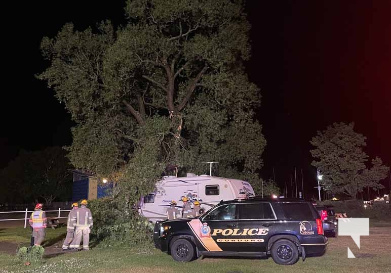 Tree Limb Camper June 12, 2023337 - Today's Northumberland - Your ...