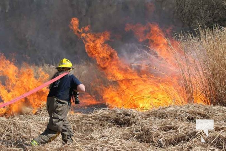 Port Hope Adopts Wildland Fire Management Plan to Strengthen Community ...