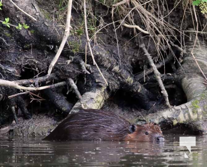 Pete Fisher - Journalist Profile - Intelligent Relations