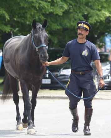 RCMP Musical Ride June 22, 202486 - Today's Northumberland - Your ...