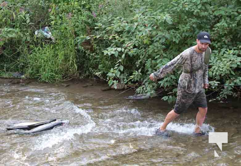 Video - Salmon Run Still Very Active Locally - Today's Northumberland ...