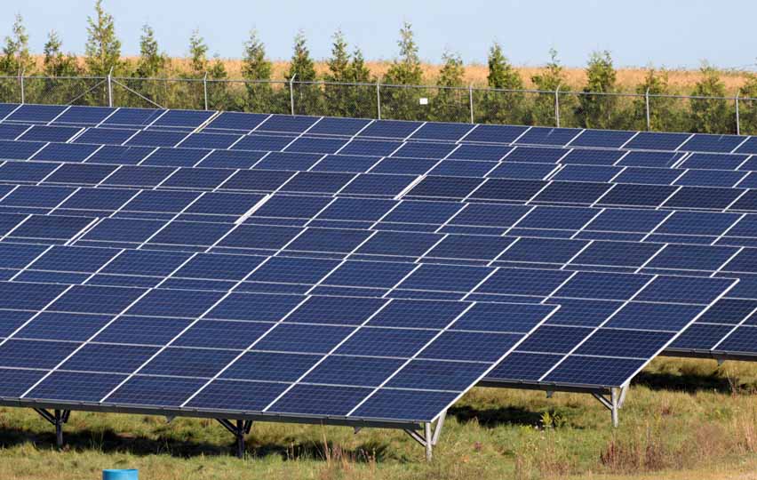 solar farm sheep hamilton township August 23, 2024 0251 - Today's ...