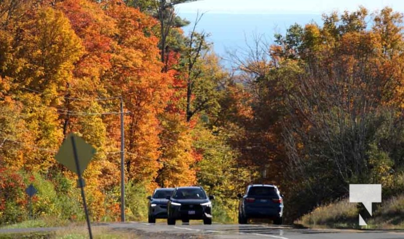 October 16, 2025 Fall Colours Cobourg Hamilton Township Rice Lake 1792 ...
