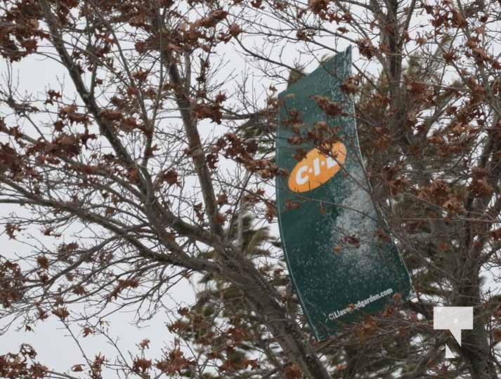 December 29, 2025 Home Depot Tree 3778 - Today's Northumberland - Your ...