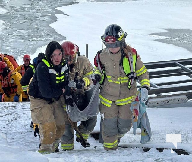December 4, 2025 Dog Rescue Little Lake3306 - Today's Northumberland ...